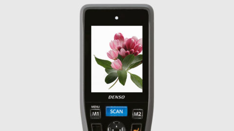 BHT-1500 Series - Hand-Held Basic OS Terminal - DENSO ADC